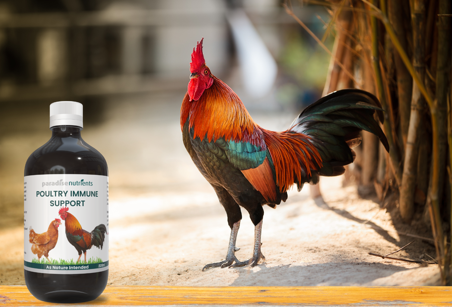 Poultry Immune Support