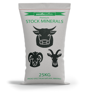 Premium Stock Minerals